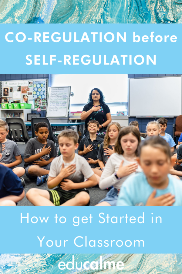 150. Co-Regulation Before Self-Regulation - Educalme